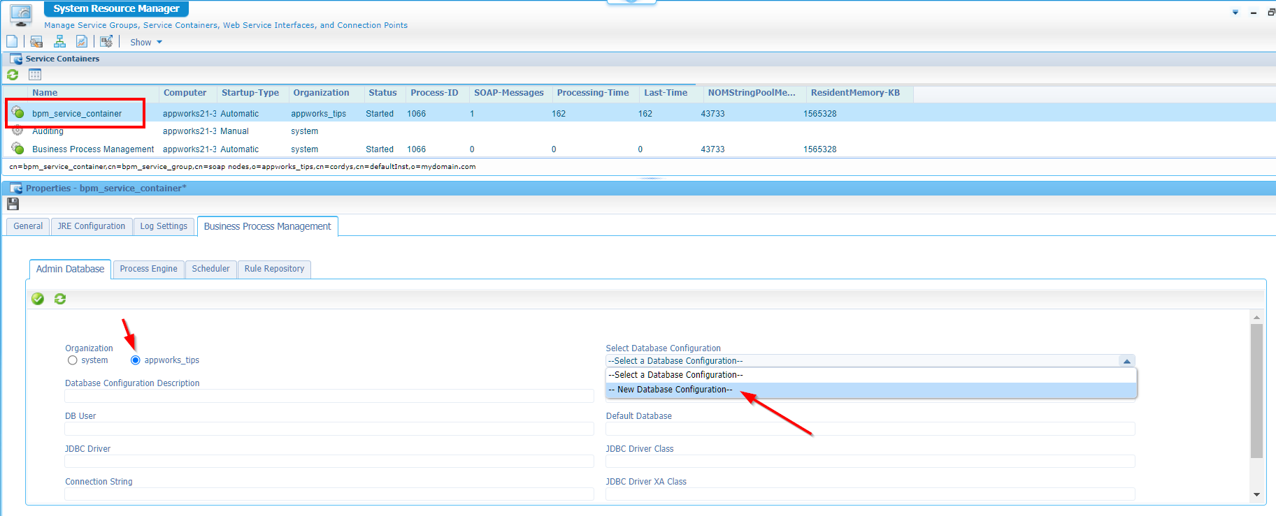 What is saved in the database for a BPM service container | OpenText ...