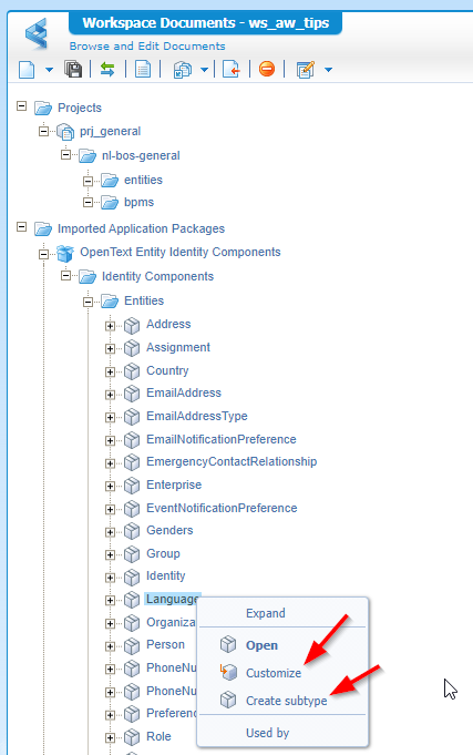 Database Showdown The Epic Battle Between Customizing And Subtyping An Identity Entity 